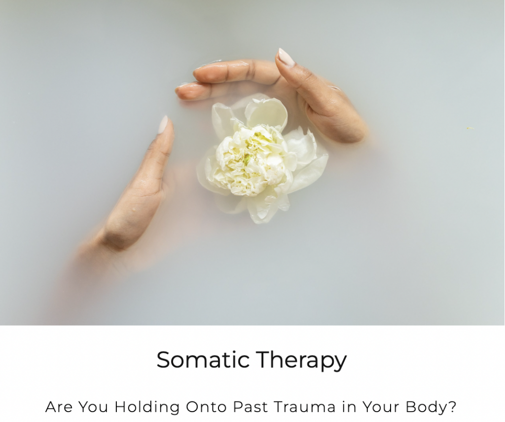 The Integrative Somatic Trauma Healing Approach